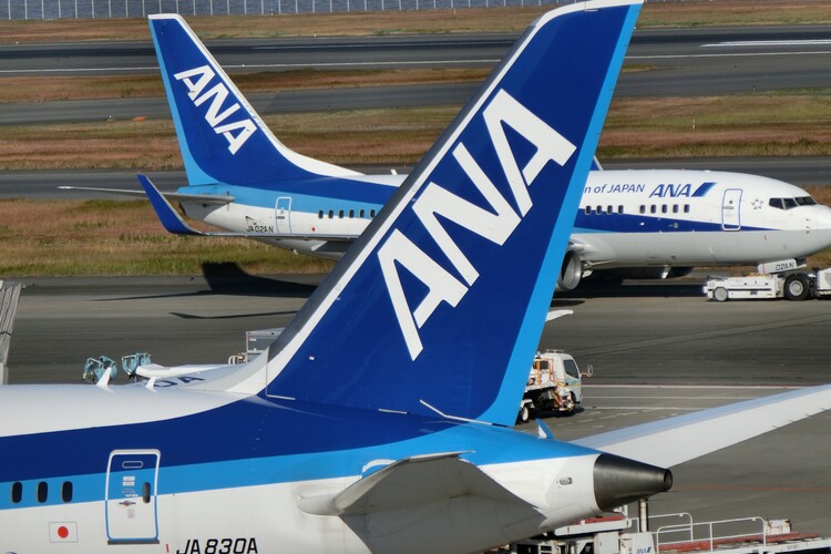 ANAホールディングス＜9202＞、日本郵船＜9101＞傘下の日本貨物航空を子会社化へ | M＆A Online - M&Aをもっと身近に。